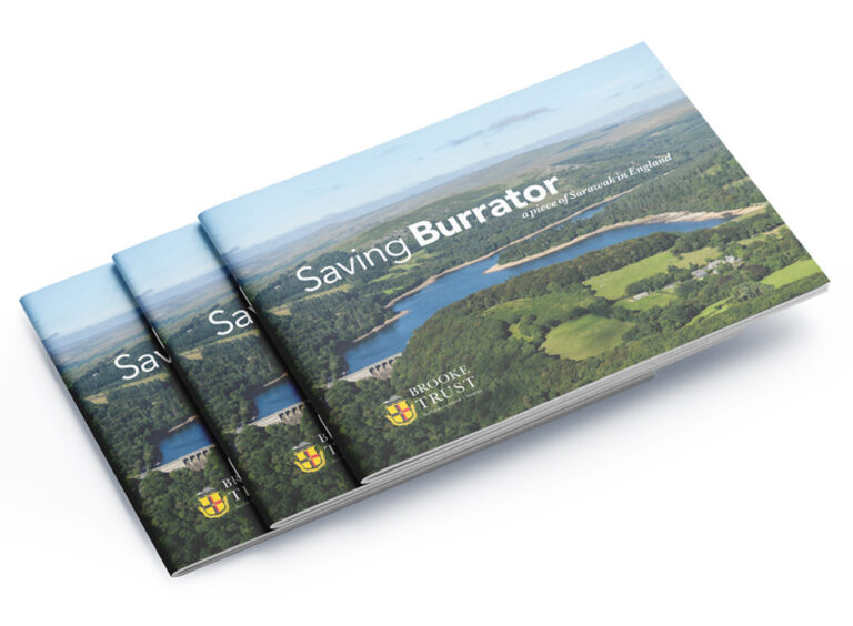 Toast Design Agency - Graphic design, Brochures, Branding & WordPress.